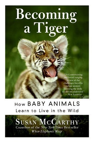 Becoming a Tiger: How Baby Animals Learn to Live in the Wild by Susan ...