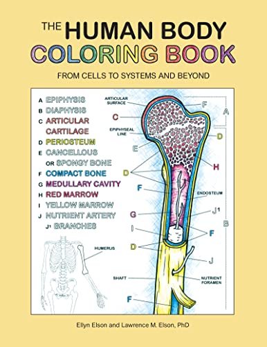 The Human Body Coloring Book: From Cells to Systems and Beyond ...