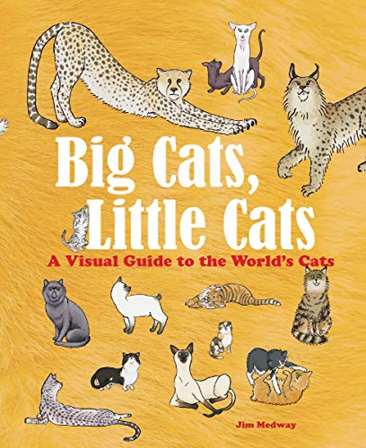 Big Cats, Little Cats: A Visual Guide to the World's Cats (Big and ...