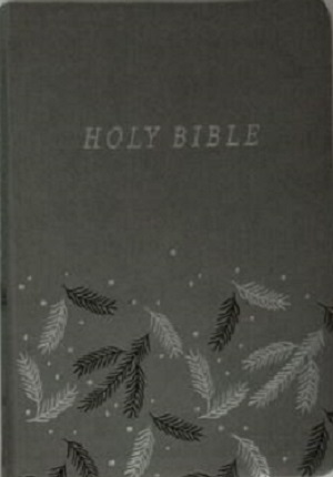 NIV Thinline, Large Print Holy Bible (Gray Leathersoft) by Zondervan ...