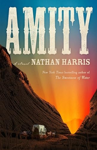 Amity by Nathan Harris - Book Outlet