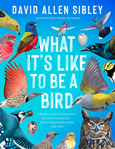 What It's Like to Be a Bird: From Flying to Nesting, Eating to Singing ...