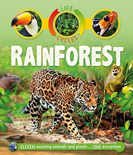 Rainforest (Life Cycles) by Sean Callery - Book Outlet