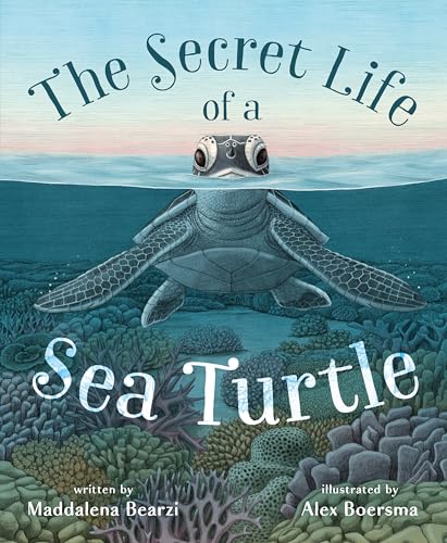 The Secret Life of a Sea Turtle by Maddalena Bearzi - Book Outlet