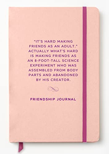 Friendship Journal (Cheeky Classics Journals) by Sterling - Book Outlet