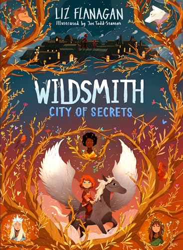 City of Secrets (Wildsmith, Bk. 2) by Liz Flanagan - Book Outlet