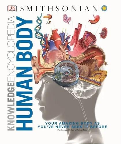 Human Body (Knowledge Encyclopedia, Smithsonian) by DK Publishing ...