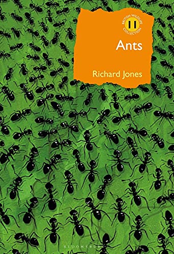 Ants: The Ultimate Social Insects (British Wildlife Collection) by ...