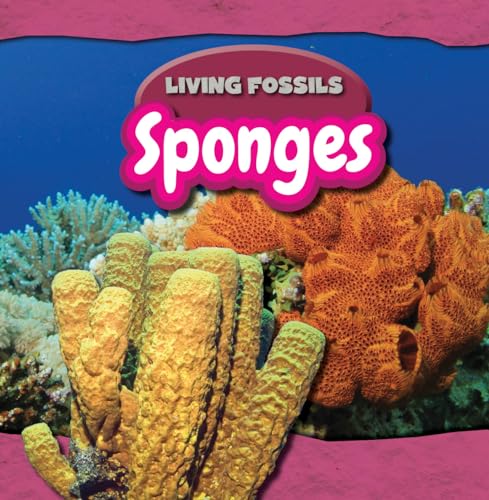 Sponges (Living Fossils)