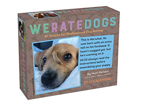 We Rate Dogs 2022 Day-to-Day Calendar by Matt Nelson - Book Outlet