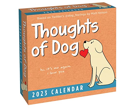 Thoughts of Dog 2023 Day-to-Day Calendar by Matt Nelson - Book Outlet