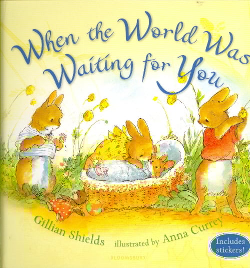 When the World was Waiting for You by Gillian Shields - Book Outlet