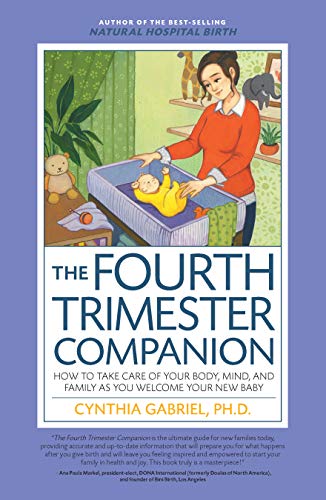 The Fourth Trimester Companion by Cynthia Gabriel - Book Outlet