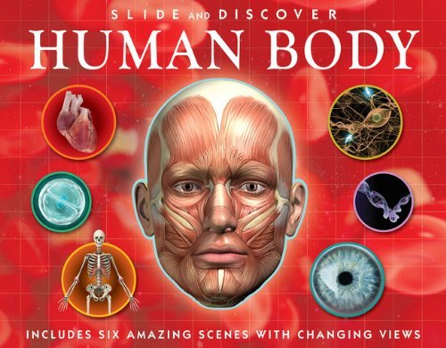 Human Body (Slide and Discover) by Silver Dolphin - Book Outlet