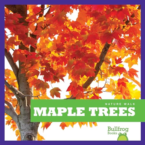Maple Trees (Nature Walk) by Rebecca Stromstad Glaser - Book Outlet