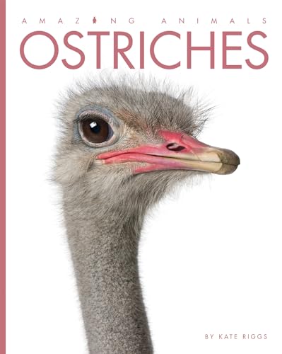 Ostriches (Amazing Animals) by Kate Riggs - Book Outlet