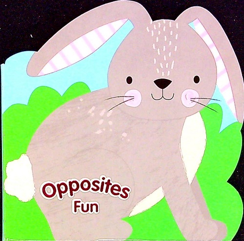 Opposites Fun
