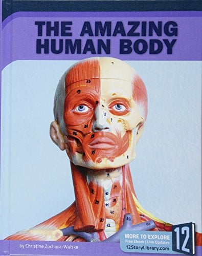 The Amazing Human Body (Unbelievable) by Christine Zuchora-Walske ...