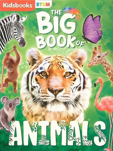 The Big Book of Animals (STEM) by Kidsbooks - Book Outlet