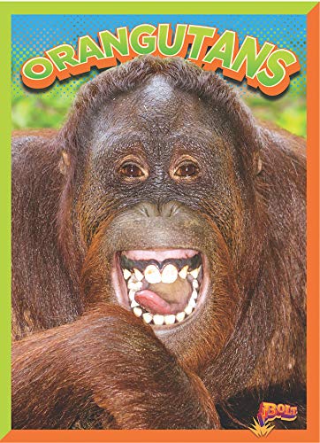 Orangutans (Wild Animal Kingdom) by Nicki Clausen-Grace - Book Outlet