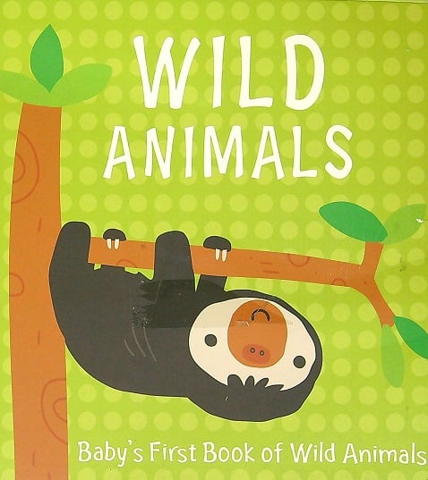 Wild Animals: Baby's First Book of Wild Animals by Silver Dolphin ...