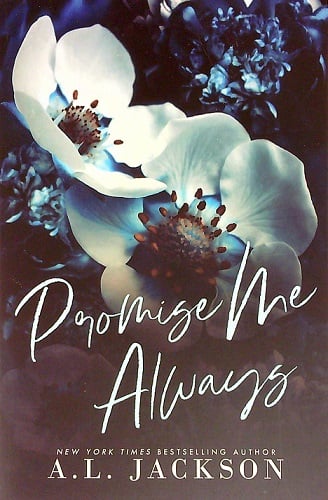 Promise Me Always (Redemption Hills, Bk. 4) by A. L. Jackson - Book Outlet