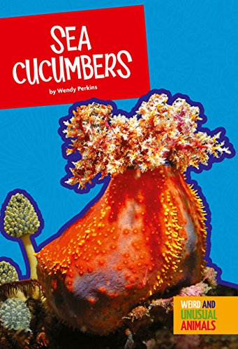 Sea Cucumbers (Weird and Unusual Animals) by Wendy Perkins - Book Outlet