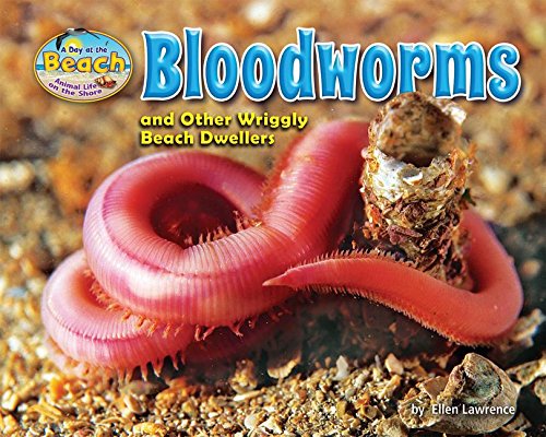 Bloodworms and Other Wriggly Beach Dwellers (Day at the Beach: Animal ...