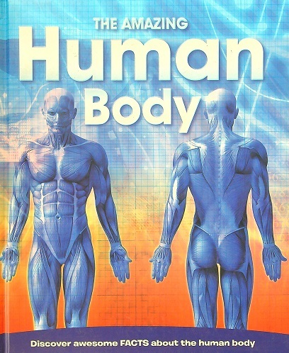 My Human Body