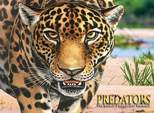 Predators: The World's Deadliest Animals by Paula Hammond - Book Outlet