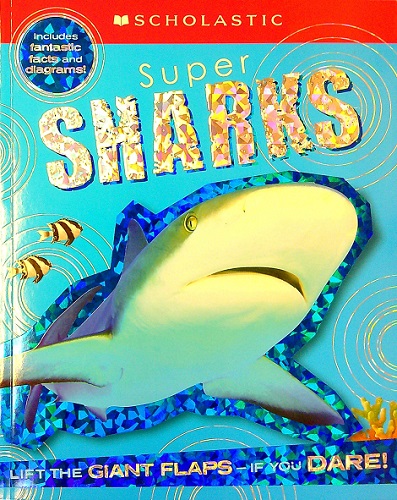 Super Sharks by Amy Boxshall - Book Outlet