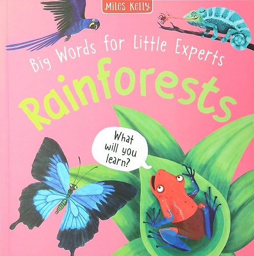 Rainforests (Big Words for Little Experts) by Fran Bromage - Book Outlet