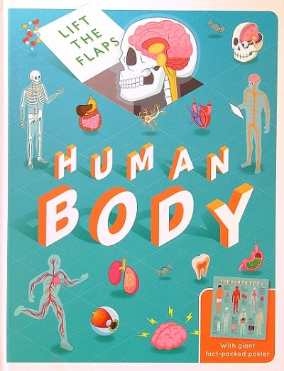 Human Body: Lift the Flaps With Giant Fact-Packed Poster by Marnie ...