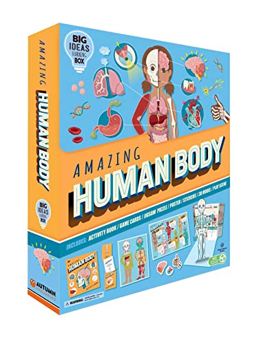 Amazing Human Body (Big Ideas Learning Box) - Autumn Publishing - Book ...