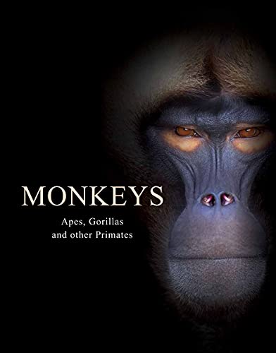 Monkeys: Apes, Gorillas and Other Primates by Tom Jackson - Book Outlet