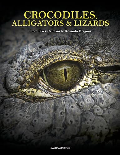 Crocodiles, Alligators & Lizards: From Black Caimans to Komodo Dragons ...
