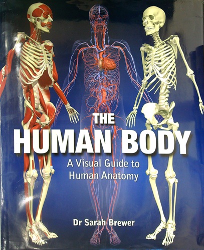 The Human Body: A Visual Guide to Human Anatomy by Sarah Brewer - Book ...