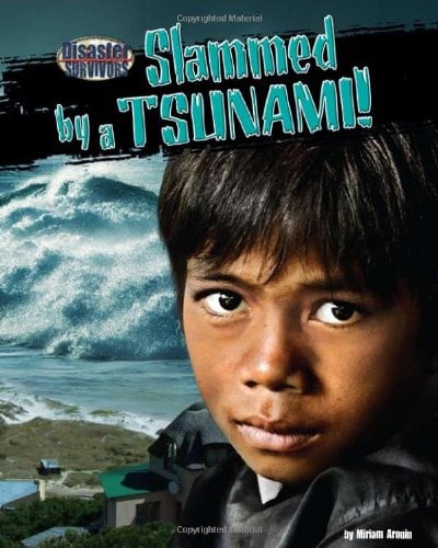 Slammed by a Tsunami! (Disaster Survivors) by Miriam Aronin - Book Outlet