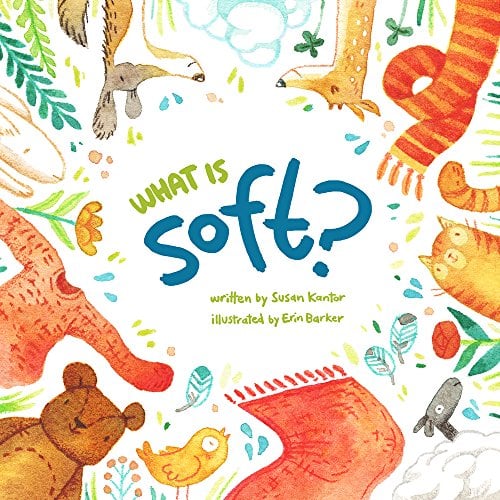 What is Soft? What is Soft?
