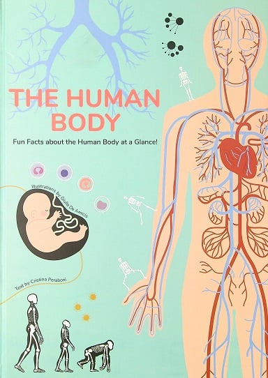 The Human Body: Fun Facts About the Human Body at a Glance! by Cristina ...